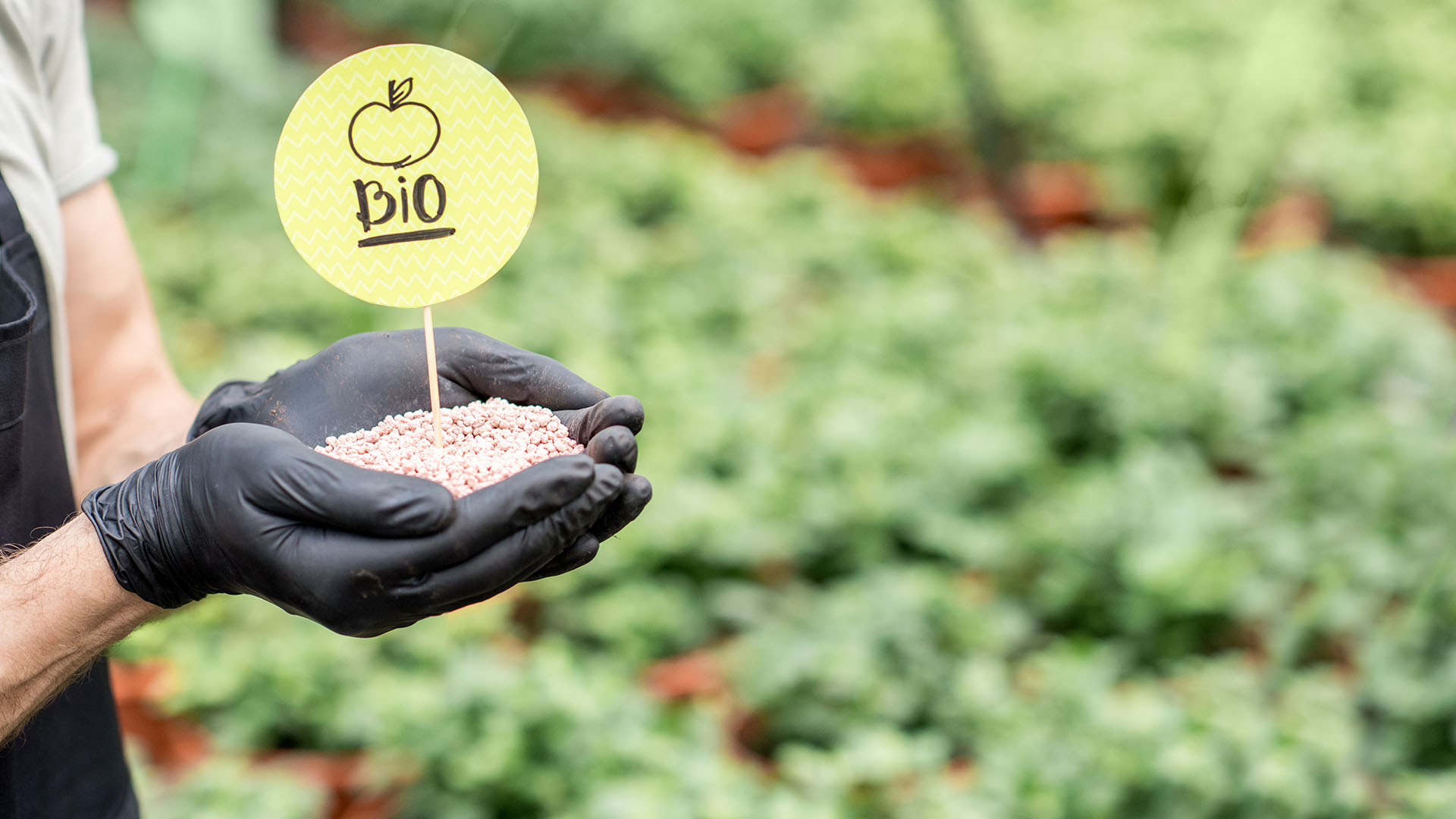 Βιολογική Γεωργία 2024 - Farmer Secret - Προγράμματα και Επιδοτήσεις